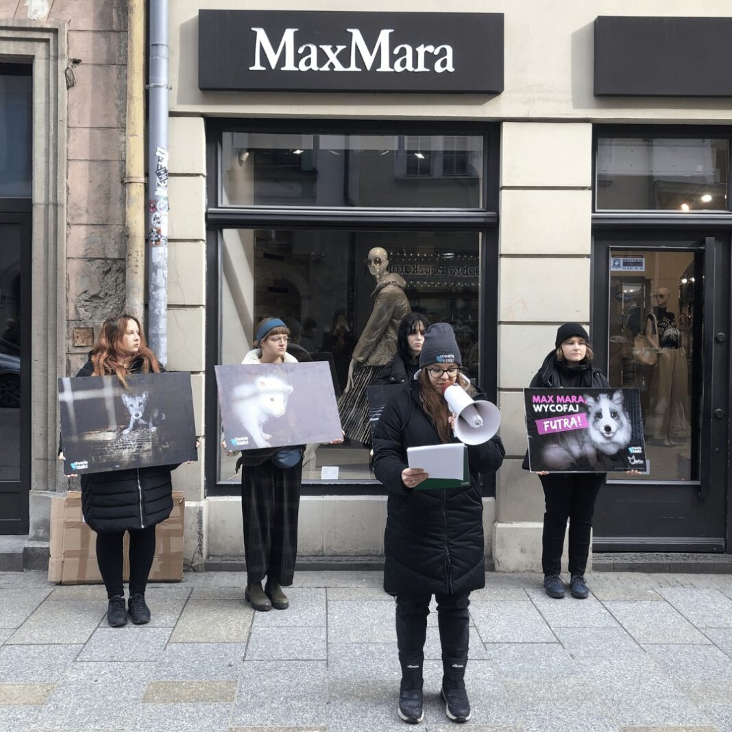 Protest w Krakowie. Aktywiści protestowali pod sklepem Max Mara ...